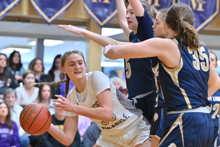 Williamsburg tops WPIAL champ Union — PIAA basketball roundup | News, Sports, Jobs - Altoona Mirror
